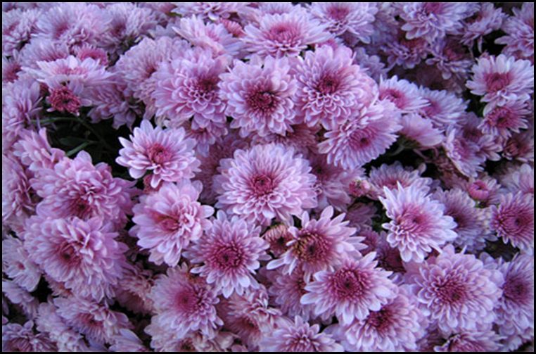 Good Life of Design: Is Fall In The Air For YOU?